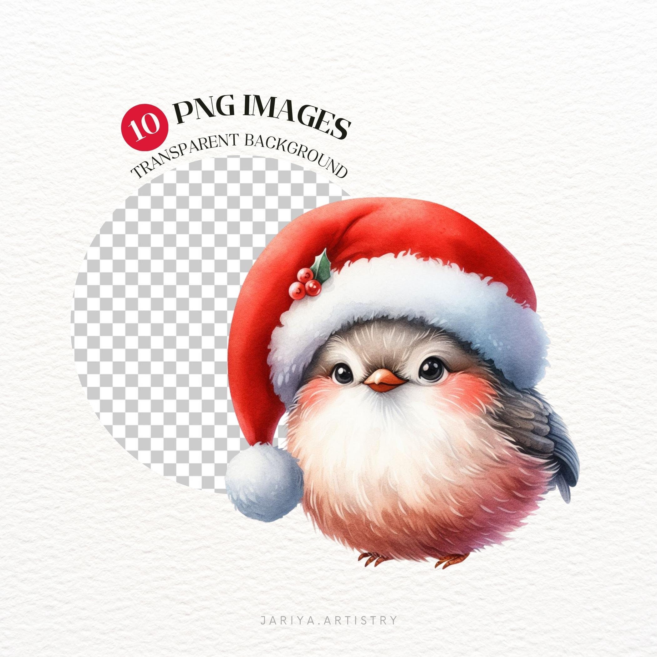 Watercolor Bird Santa Clipart Bundle (digital Download) - Etsy