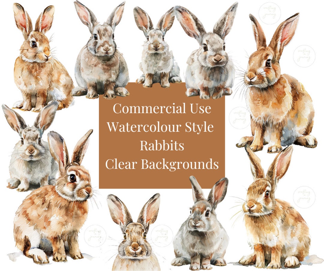 Watercolour Rabbits PNG Digital Download - Etsy