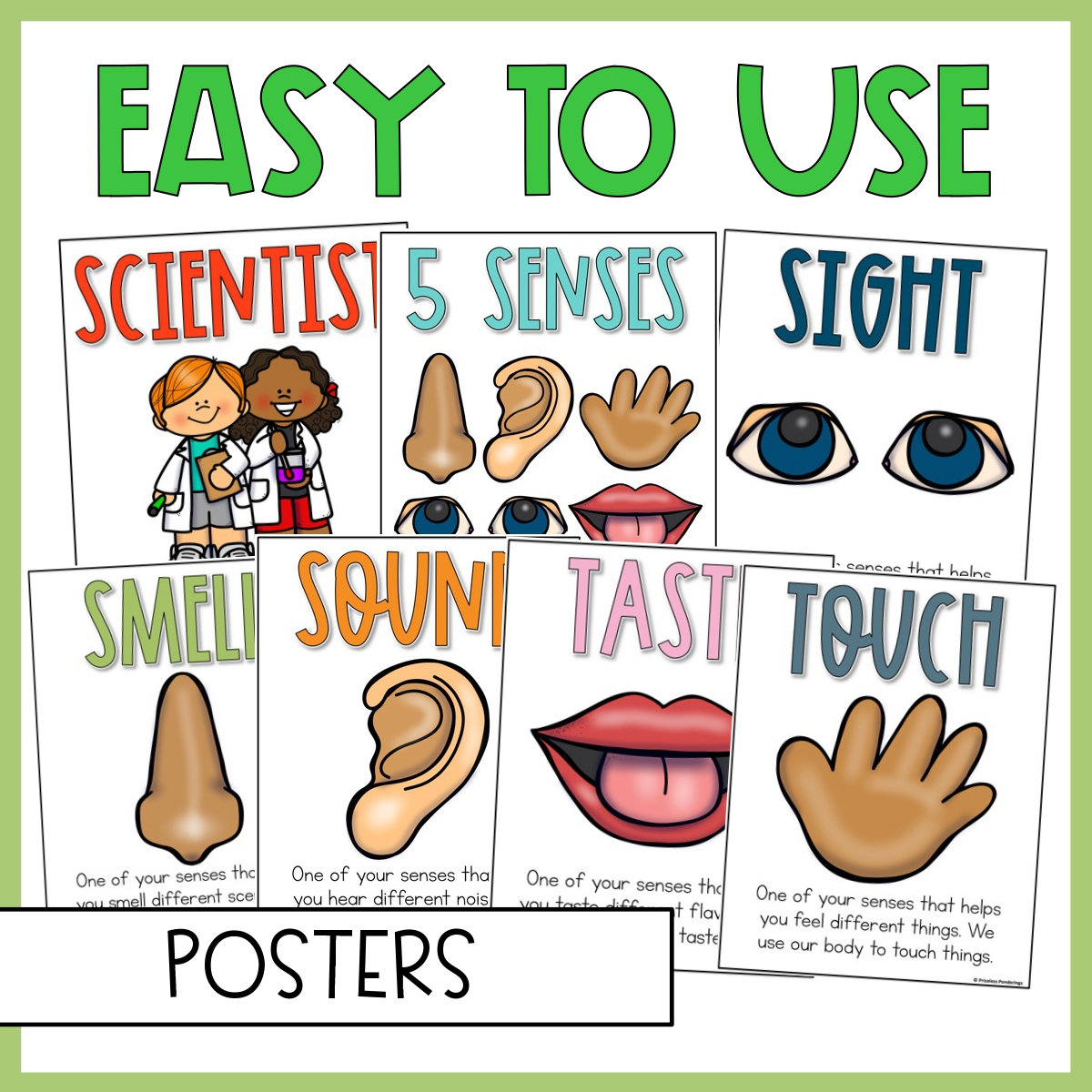 Five Senses Activities | Science Observations | 5 Senses Activities ...