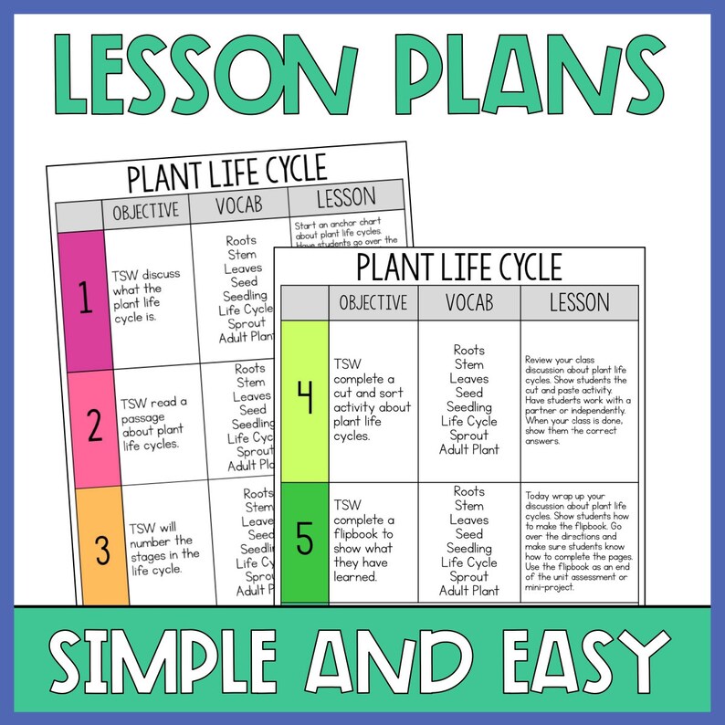 Plant Life Cycle Activities and Worksheets - Etsy