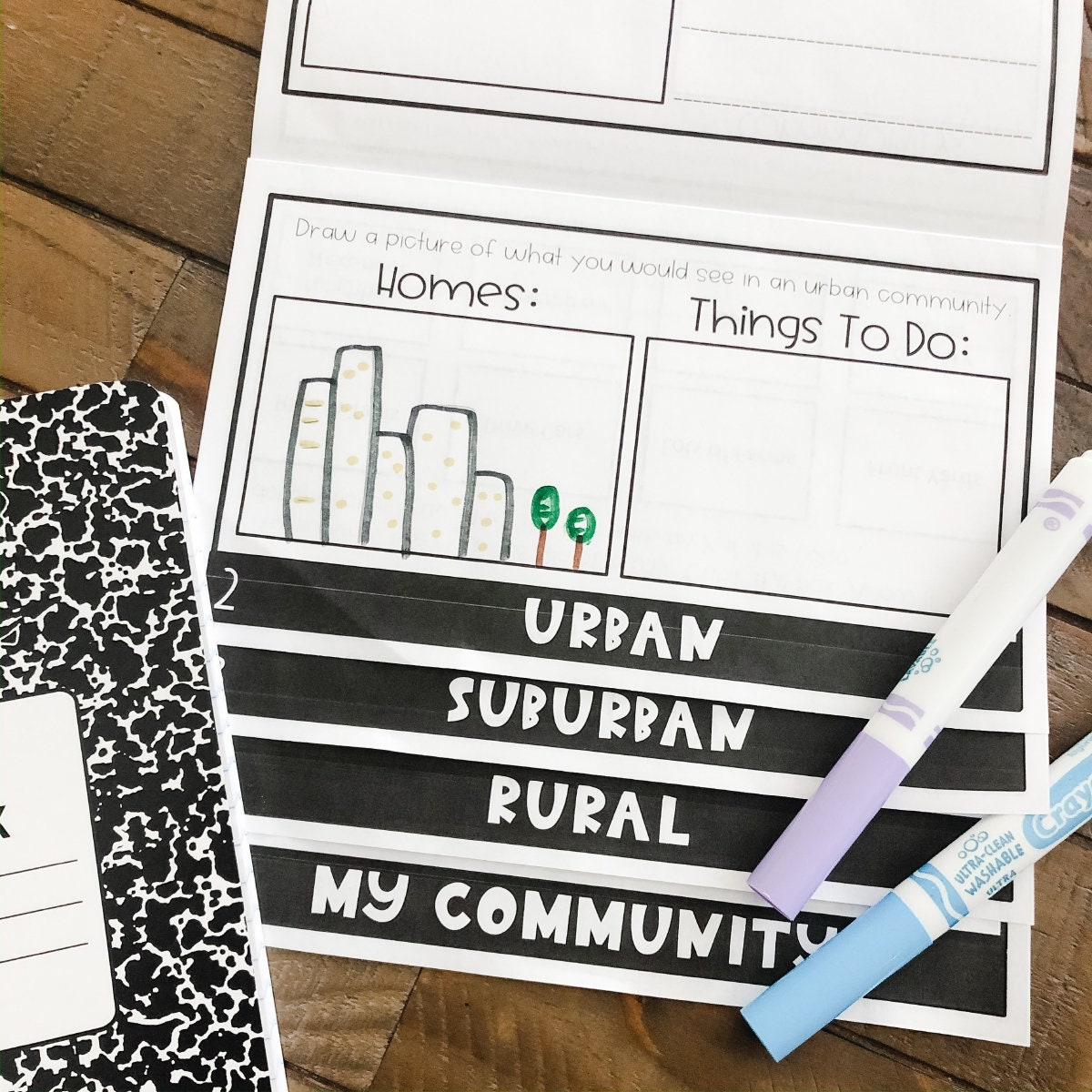 Types of Communities Flipbook Activities - Etsy