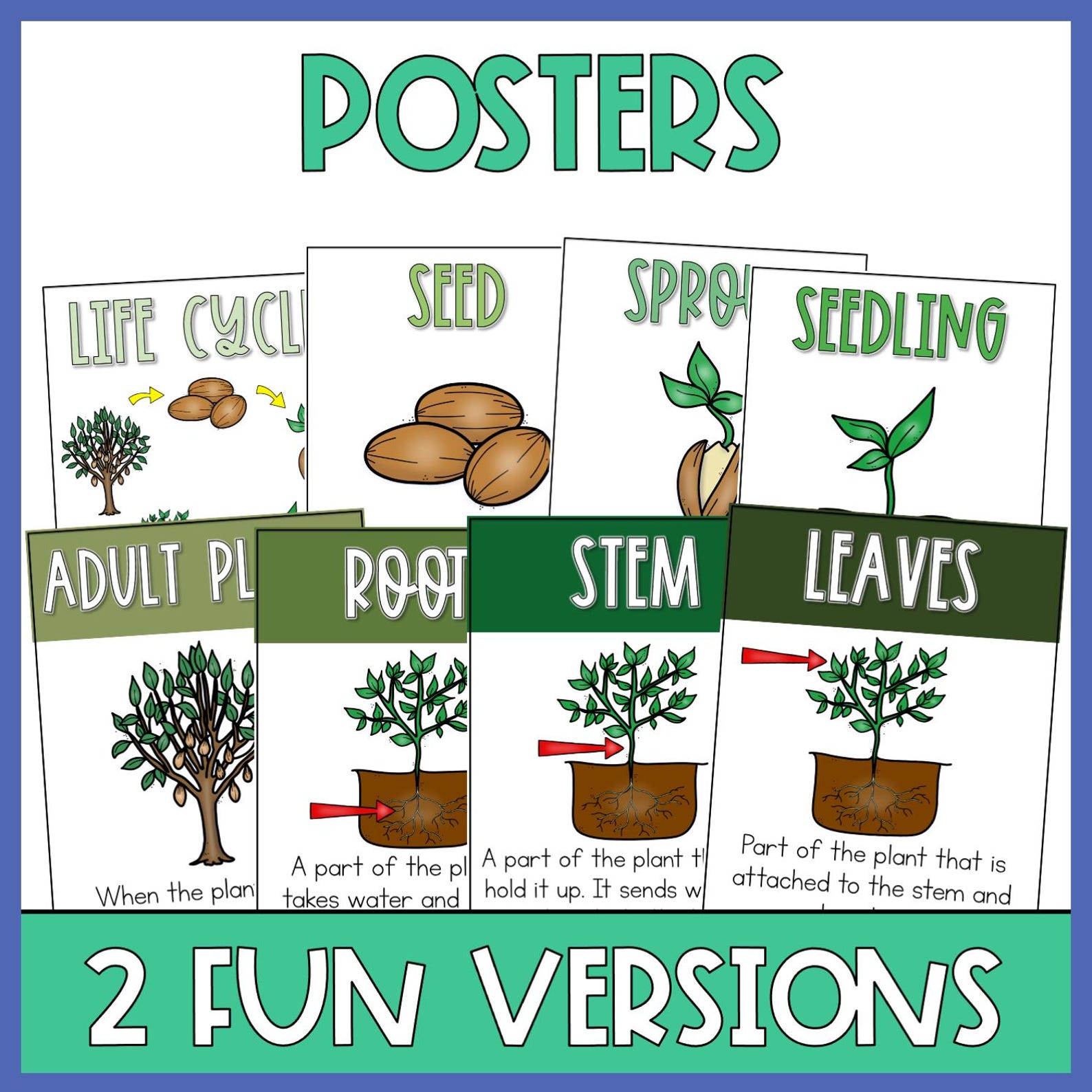 Plant Life Cycle Activities | Spring Science Worksheets for Elementary ...