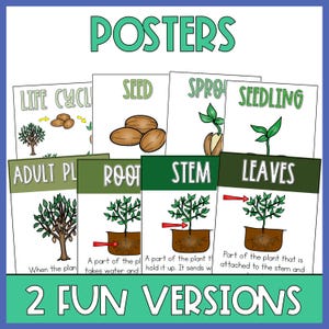 Plant Life Cycle Activities | Spring Science Worksheets for Elementary ...