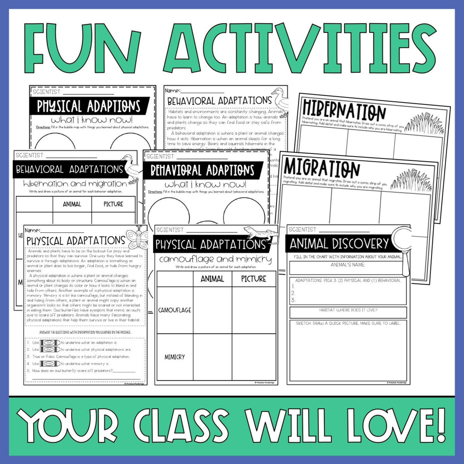 Animal Adaptations Activities | Hibernation Migration and Camouflage ...