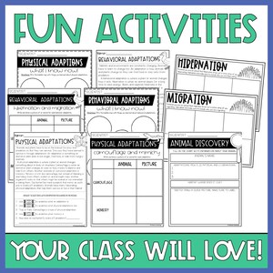 Animal Adaptations Activities | Hibernation Migration and Camouflage ...