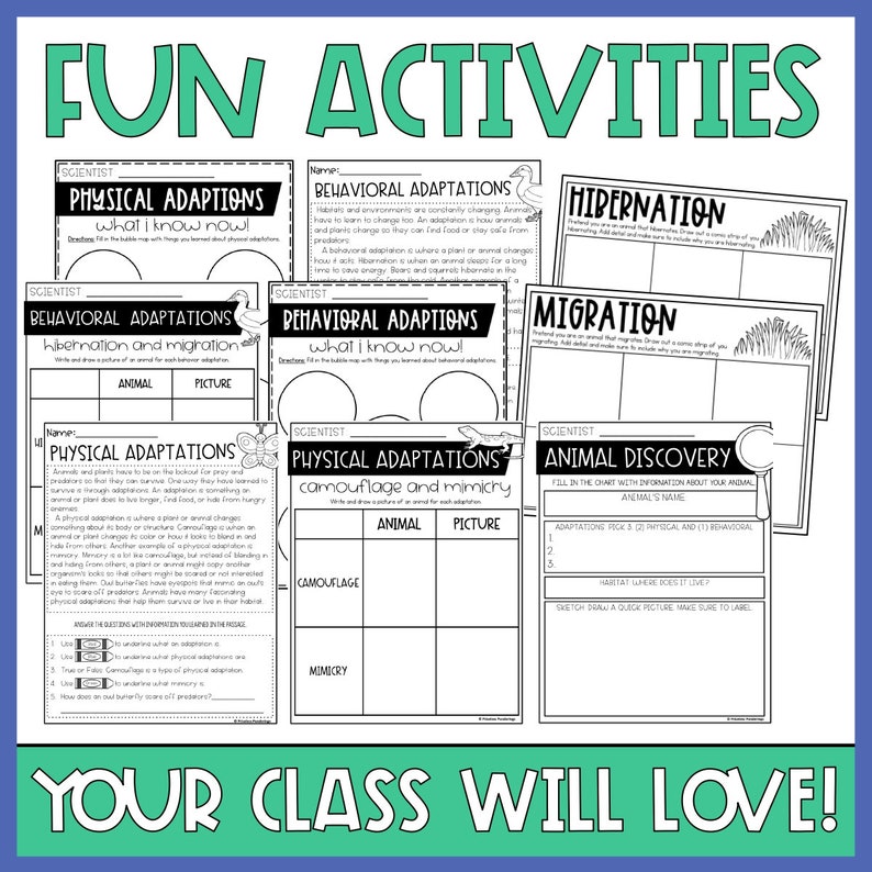 Animal Adaptations Activities | Hibernation Migration and Camouflage ...