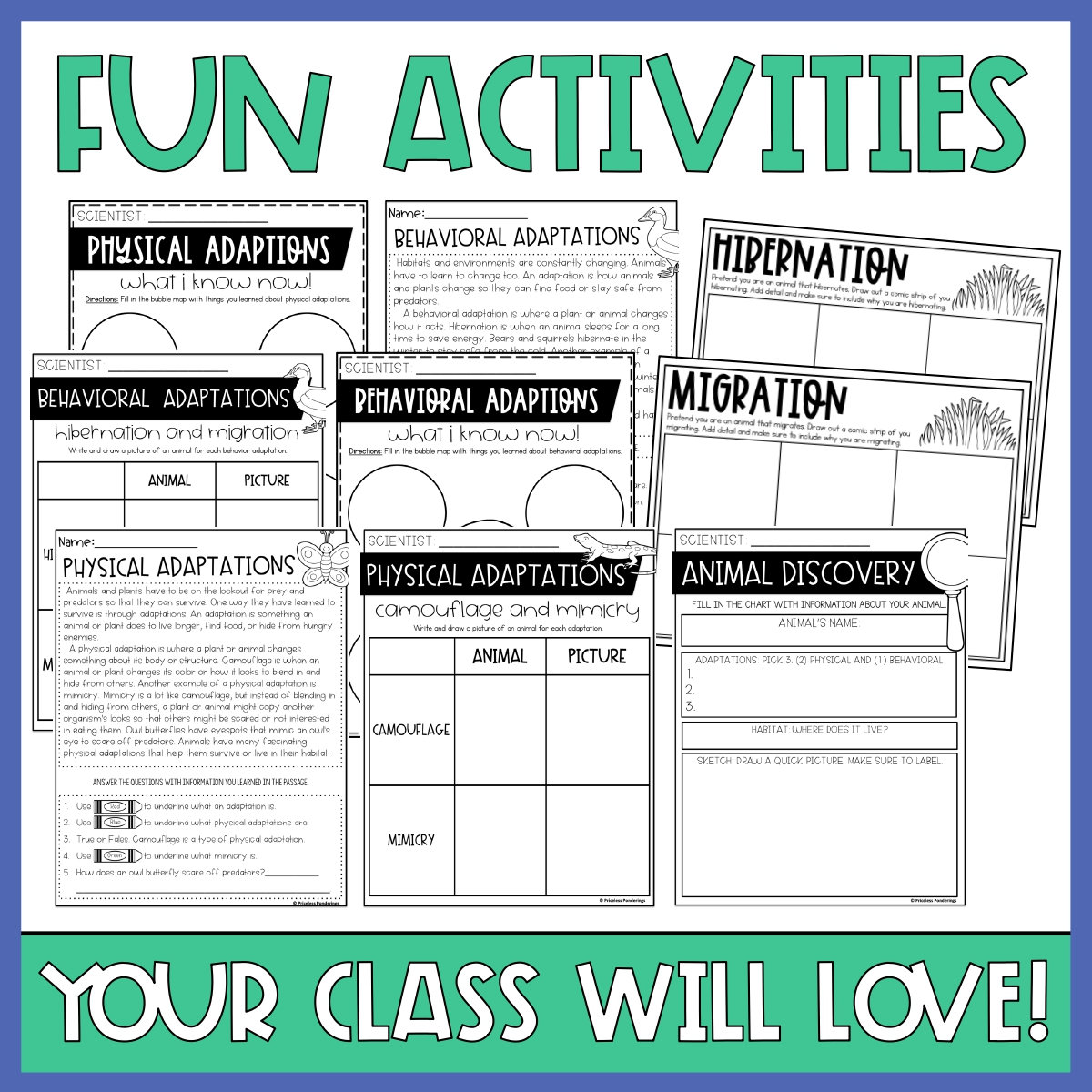 Animal Adaptations Activities | Hibernation Migration and Camouflage ...