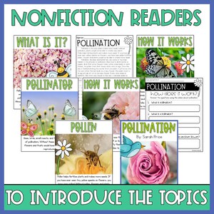 3rd Grade Science Plants Unit | Parts of a Flower and Pollination ...