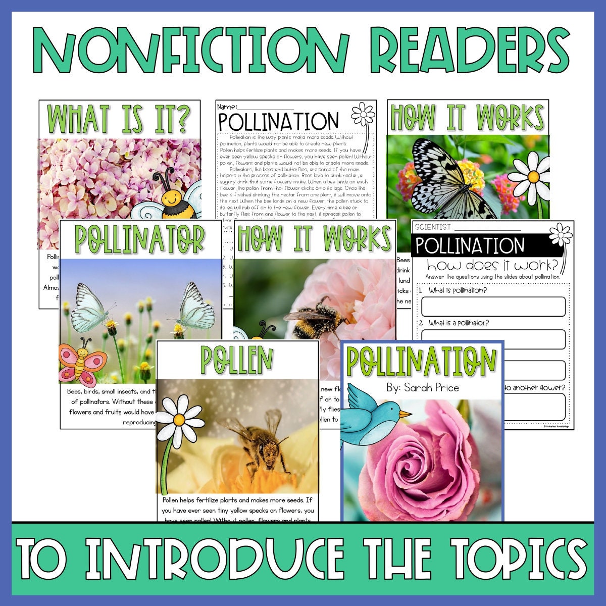 3rd Grade Science Plants Unit Parts of a Flower and Pollination - Etsy