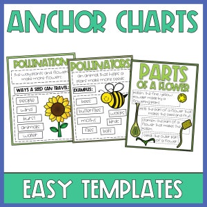 3rd Grade Science Plants Unit | Parts of a Flower and Pollination ...