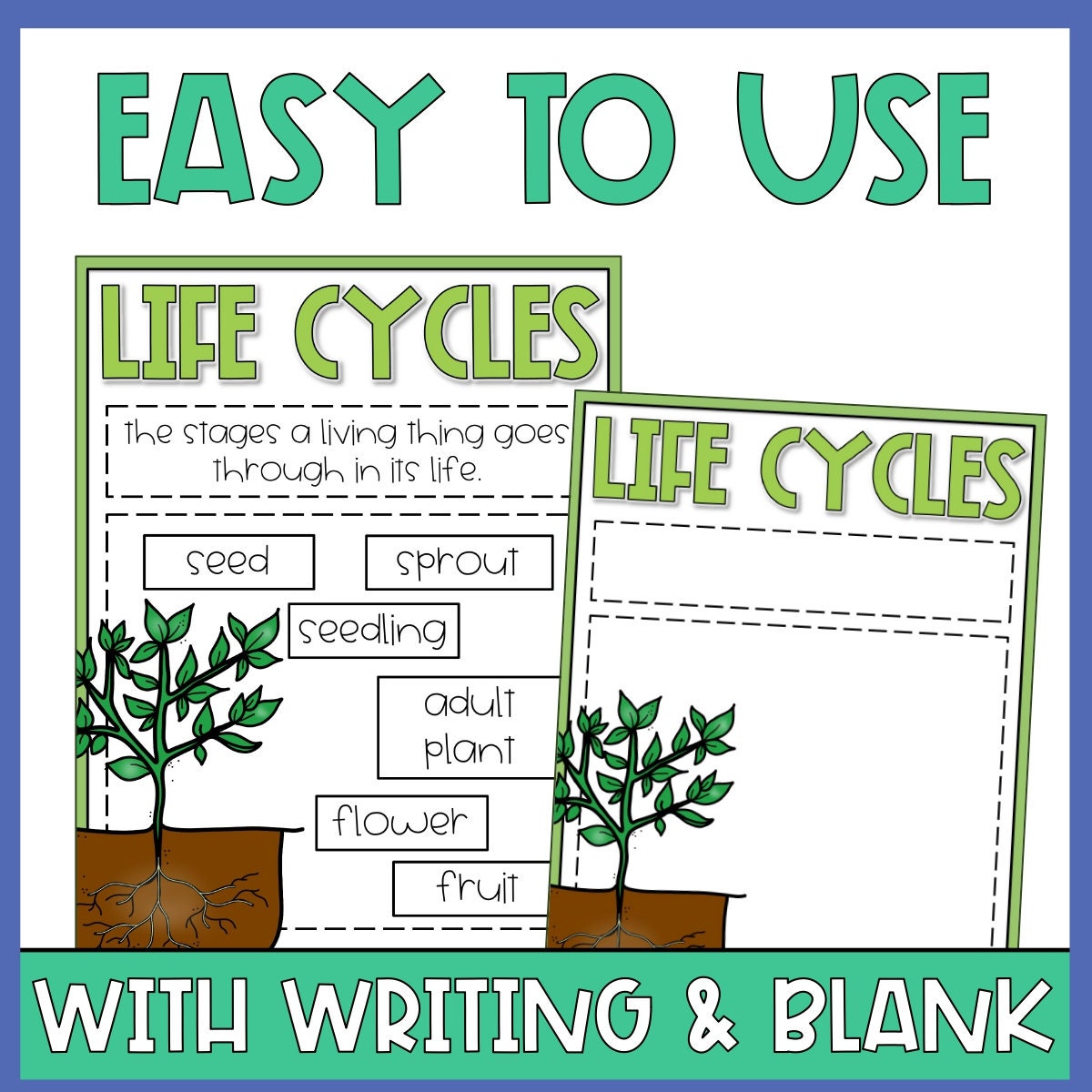 Life Cycle of a Plant Anchor Charts 2nd 3rd Grade Life Science Posters ...