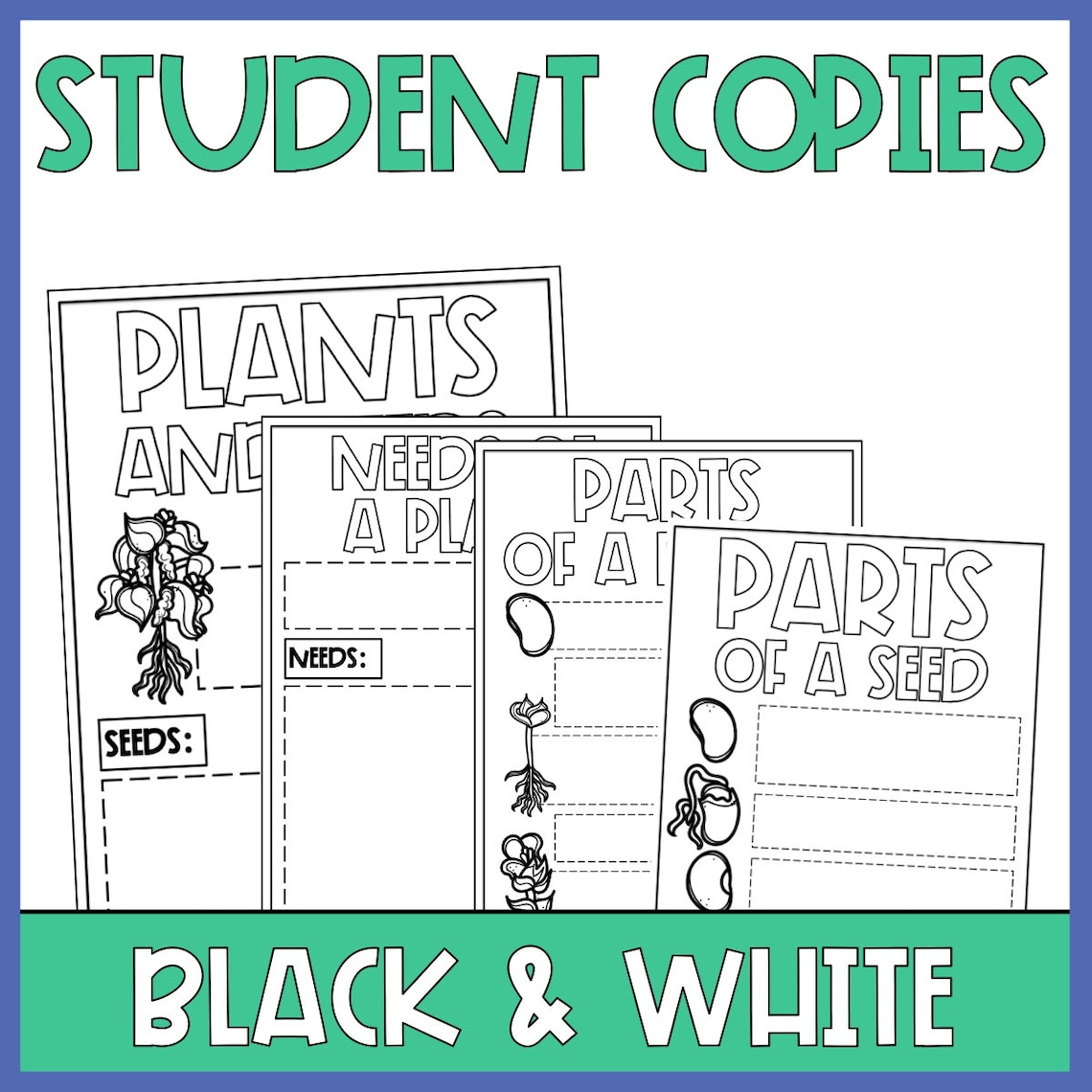 All About Plants Anchor Charts | Parts of Seeds | Needs of Plants ...