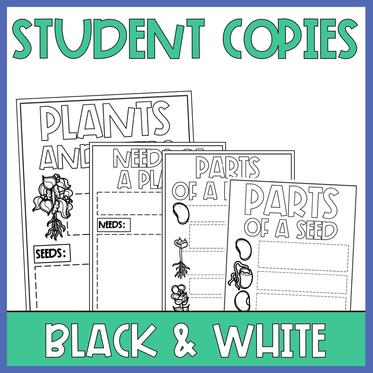 All About Plants Anchor Charts | Parts of Seeds | Needs of Plants ...