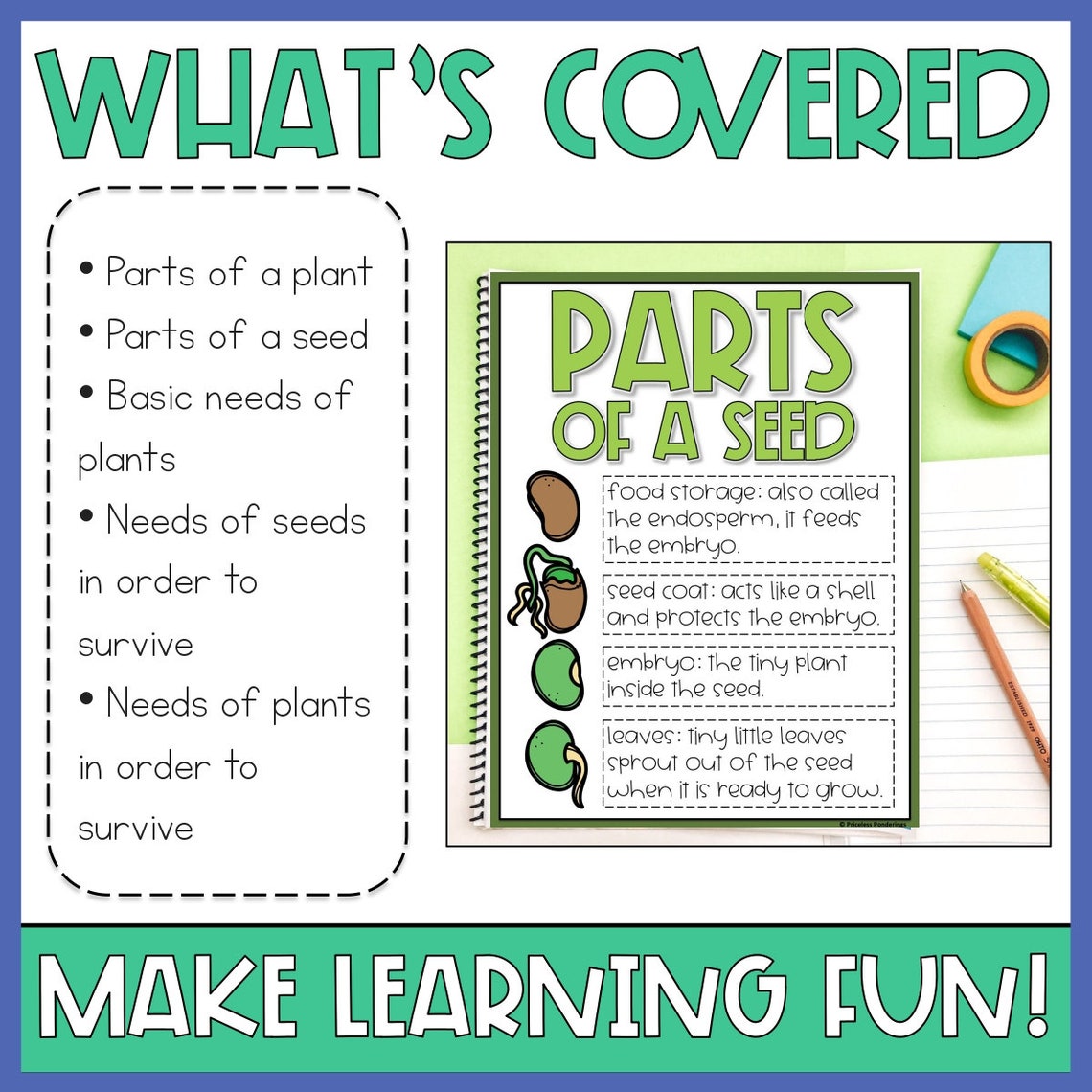 All About Plants Activities | Parts of Seeds Plants | Needs of Plants ...