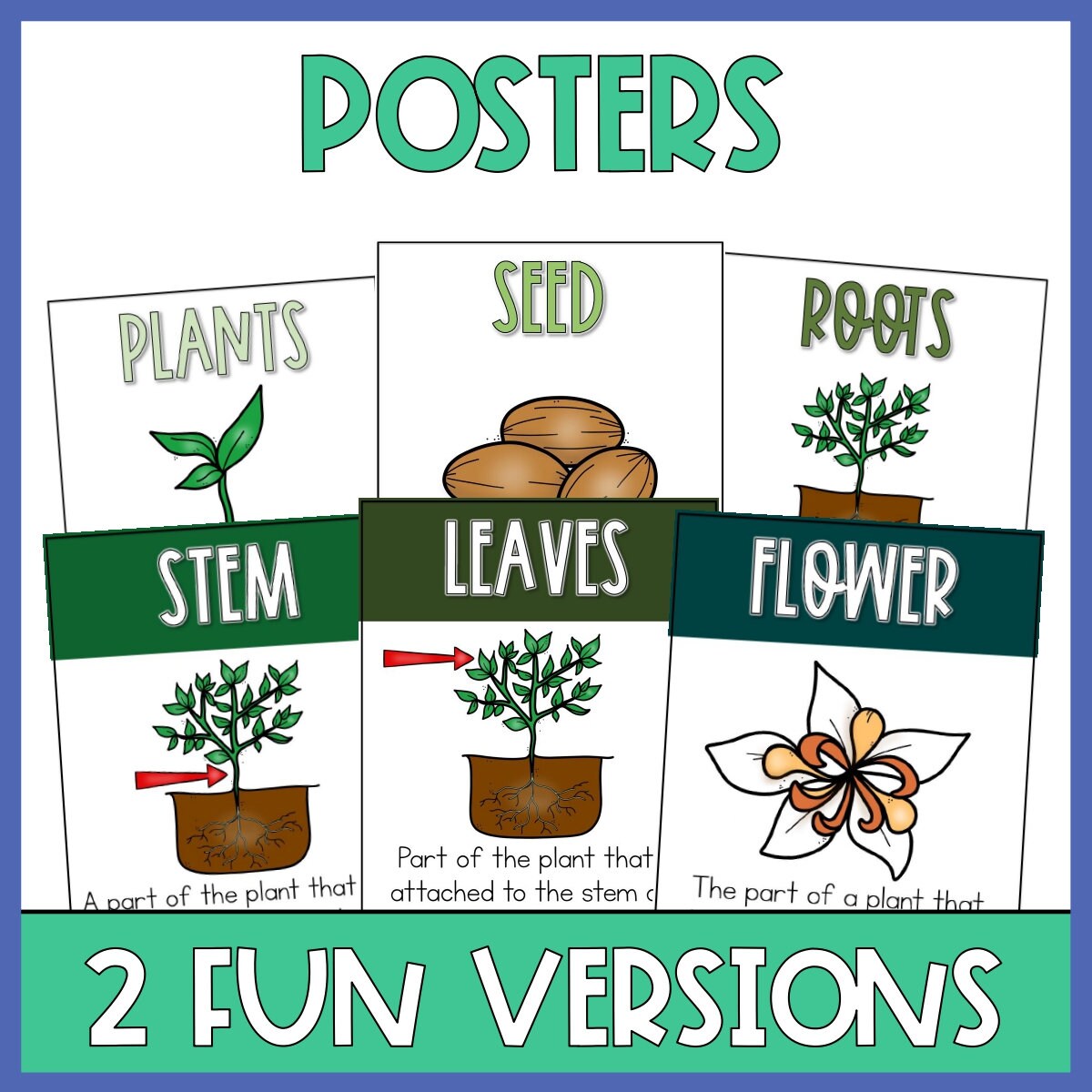 All About Plants Activities | Parts of Seeds Plants | Needs of Plants ...