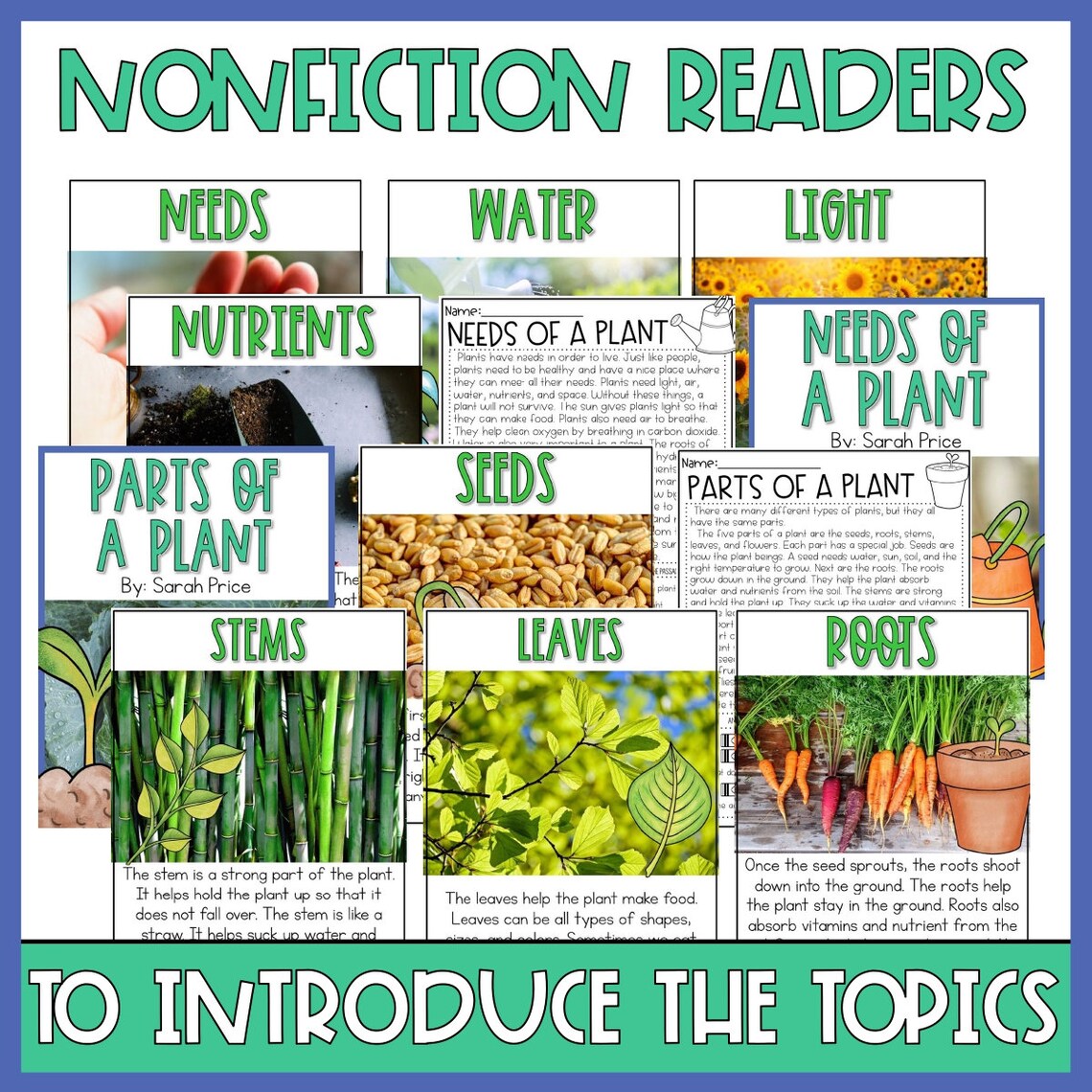 All About Plants Activities | Parts of Seeds Plants | Needs of Plants ...