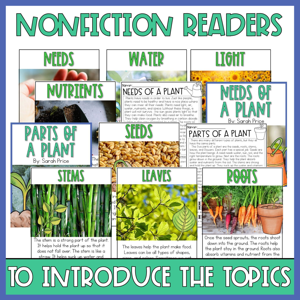 All About Plants Activities | Parts of Seeds Plants | Needs of Plants ...