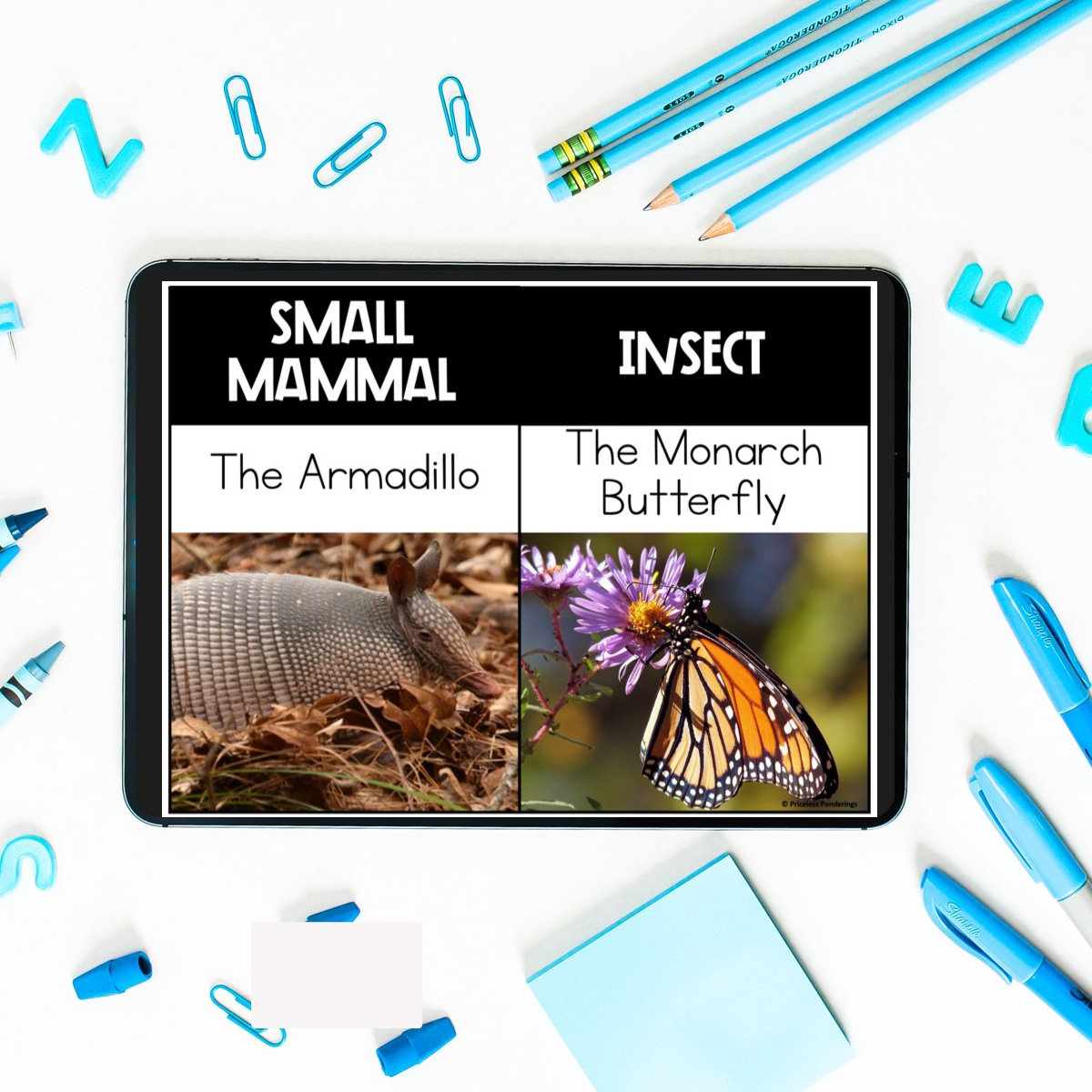 Texas Symbols Digital Activities - 1st 2nd Grade Social Studies Lessons ...