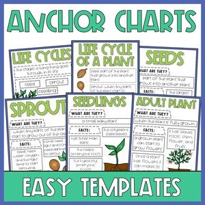 Plant Life Cycle Activities | Spring Science Worksheets for Elementary ...