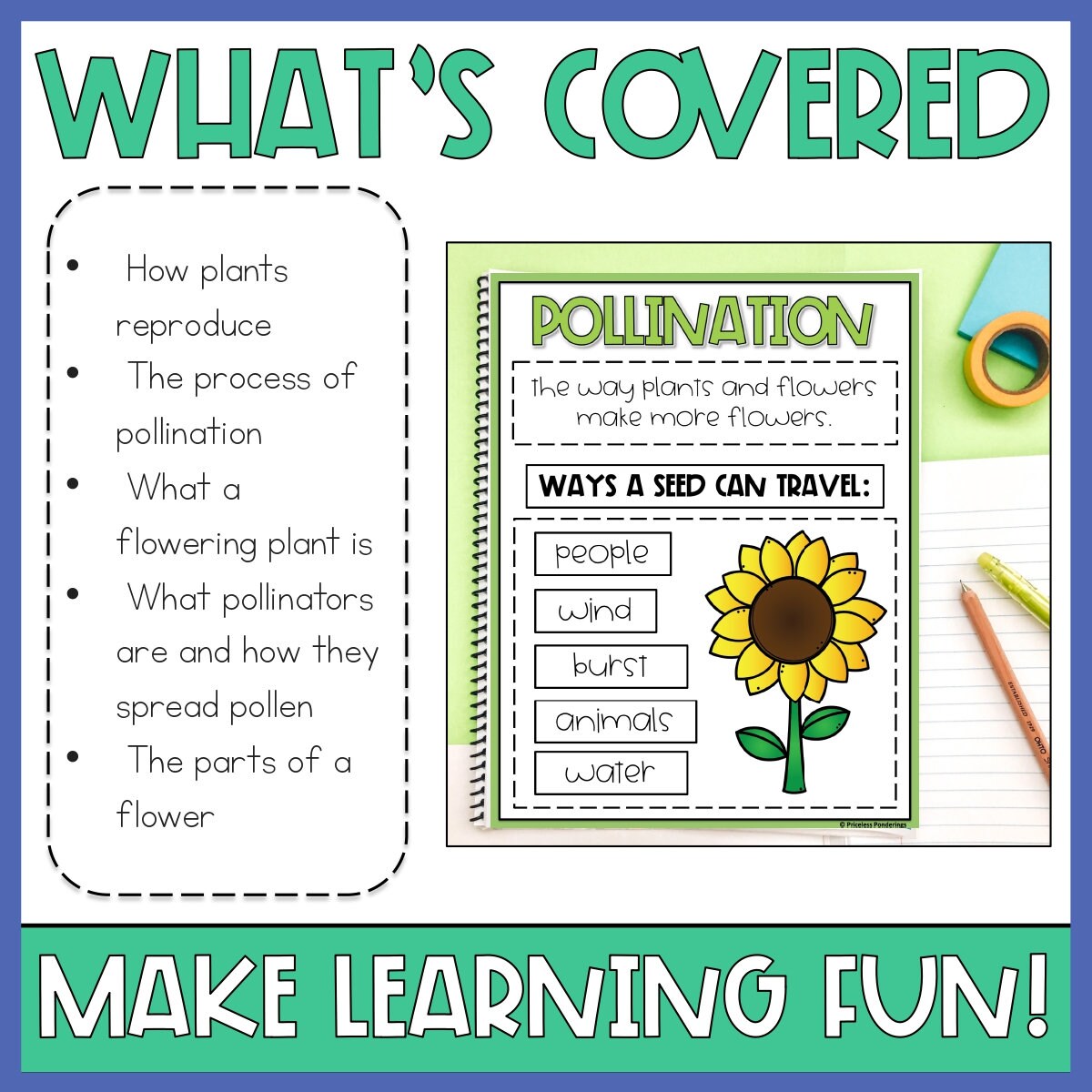 3rd Grade Science Plants Unit Parts of a Flower and Pollination - Etsy