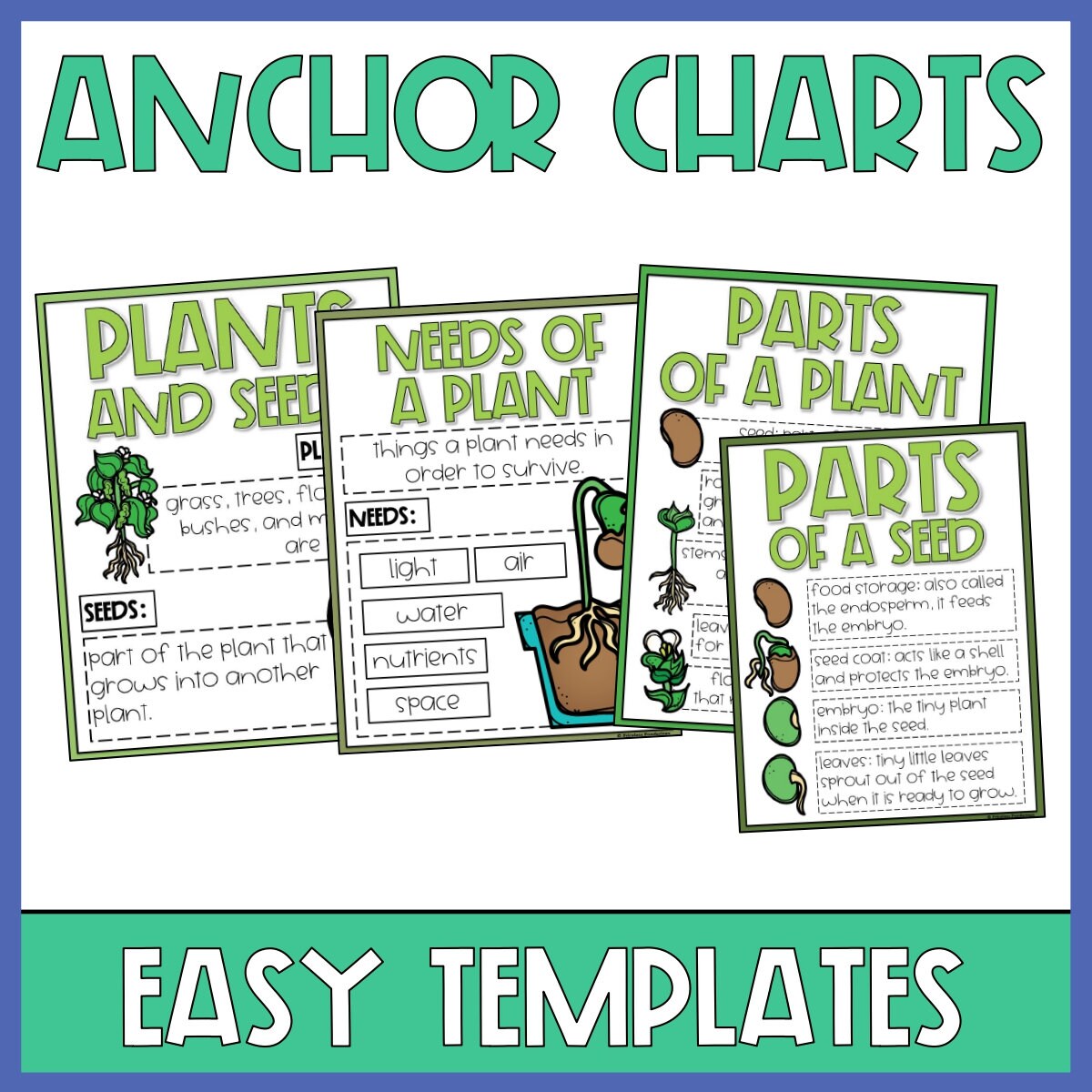 All About Plants Activities | Parts of Seeds Plants | Needs of Plants ...