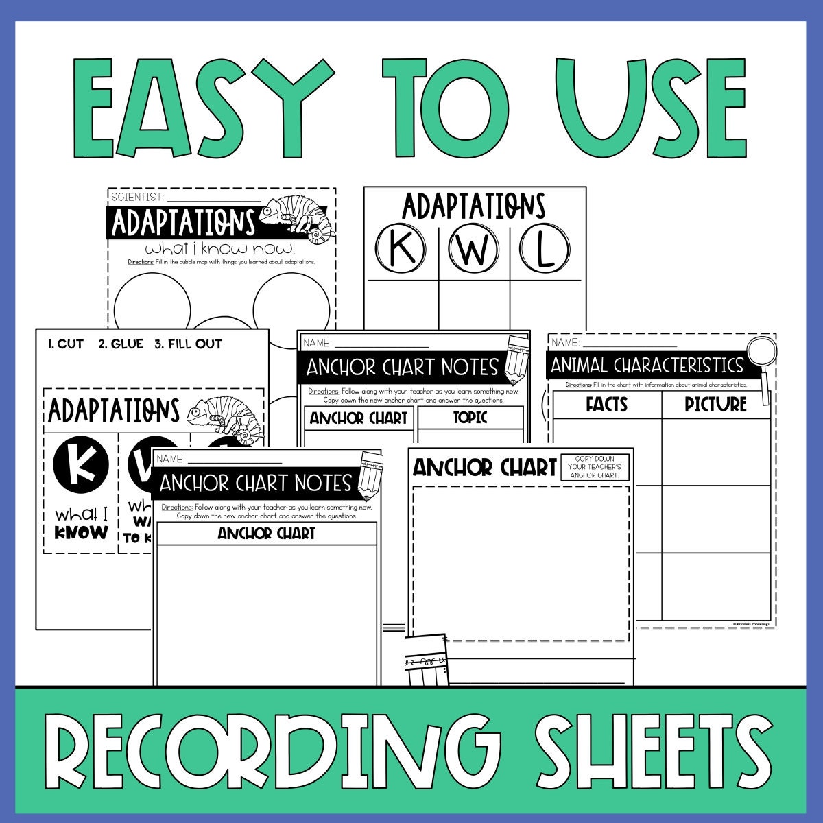 Animal Adaptations Anchor Charts and Life Science Posters - Etsy