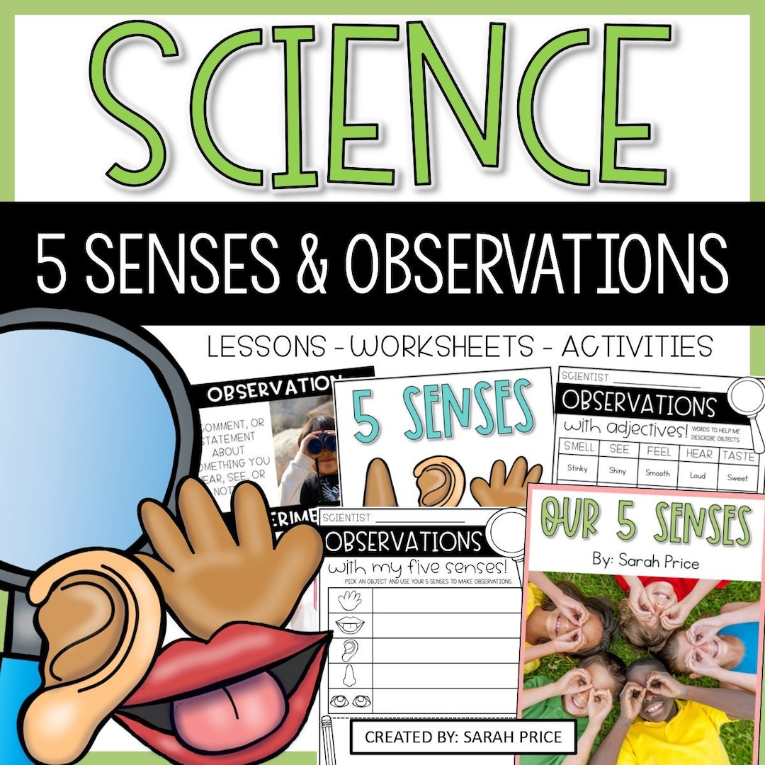 Five Senses Activities | Science Observations | 5 Senses Activities Worksheets - Etsy