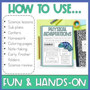 Animal Adaptations Science Anchor Charts and Life Science Posters for ...