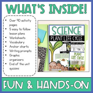 Plant Life Cycle Activities | Spring Science Worksheets for Elementary ...