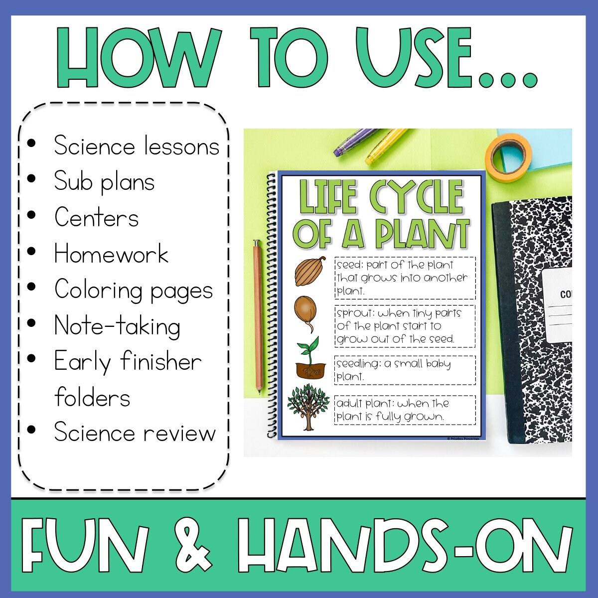 Life Cycle of a Plant Anchor Charts 2nd 3rd Grade Life Science Posters ...