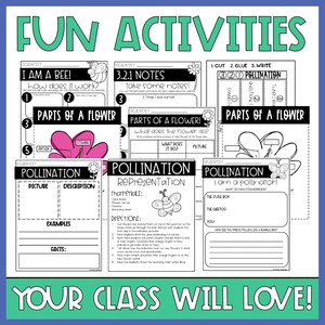 3rd Grade Science Plants Unit | Parts of a Flower and Pollination ...