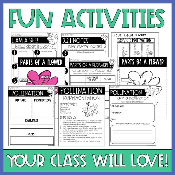 Pollination For Kids Worksheets