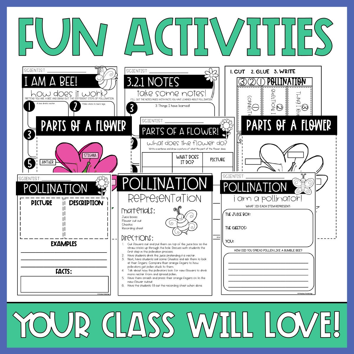 3rd Grade Science Plants Unit Parts of a Flower and Pollination - Etsy