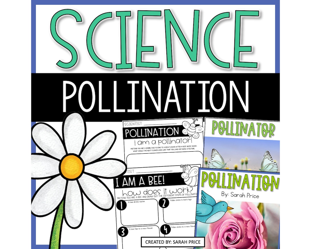 3rd Grade Science Plants Unit | Parts of a Flower and Pollination ...
