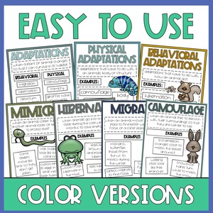 Animal Adaptations Science Anchor Charts and Life Science Posters for ...