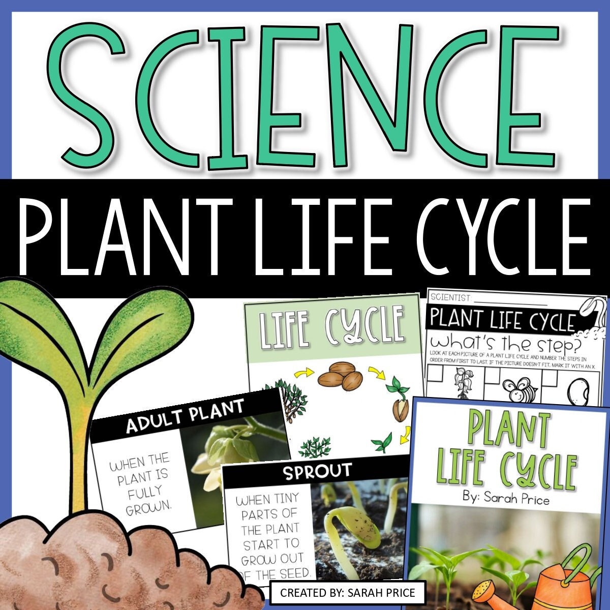 Plant Life Cycle Activities and Worksheets - Etsy