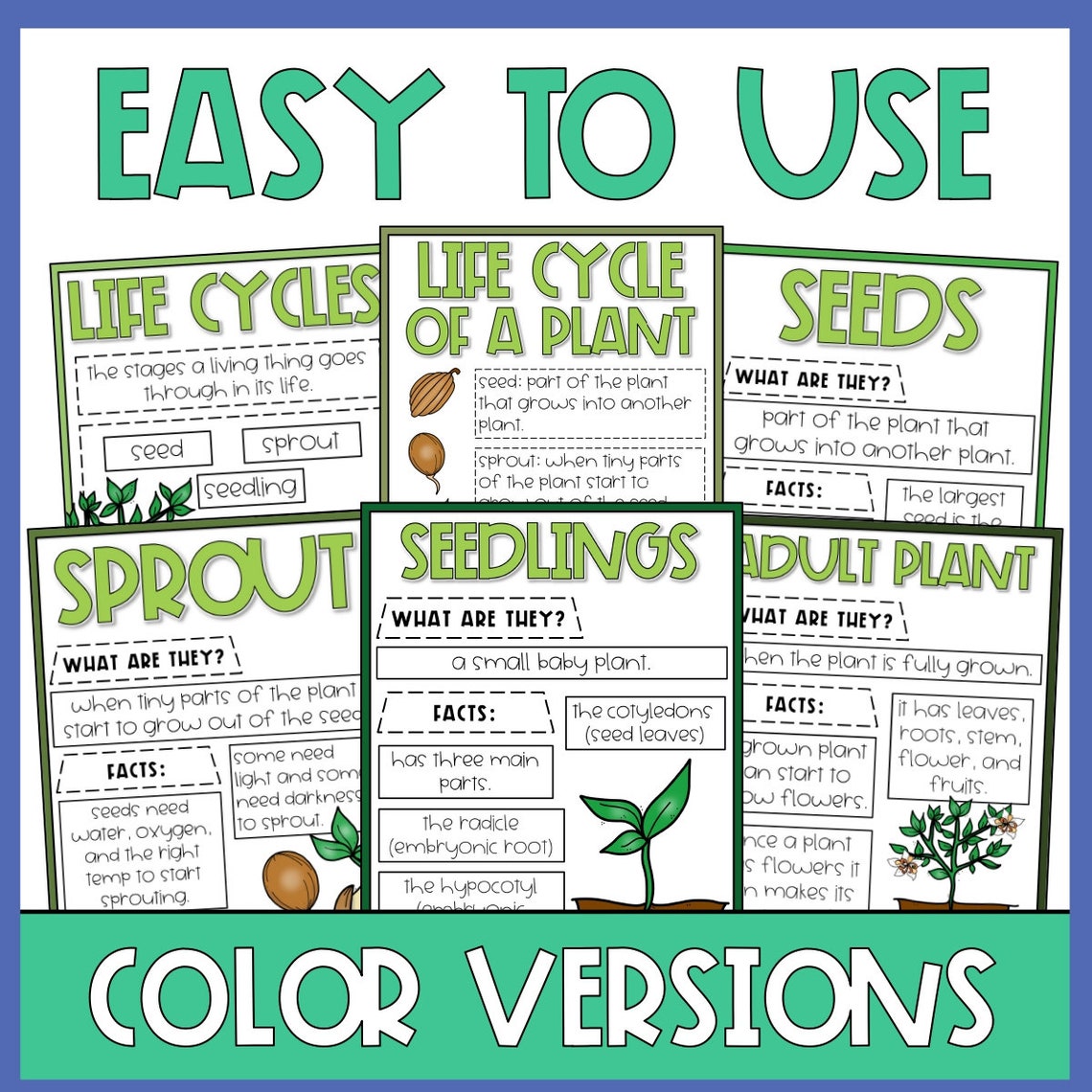 Life Cycle of a Plant Anchor Charts 2nd 3rd Grade Life Science Posters ...