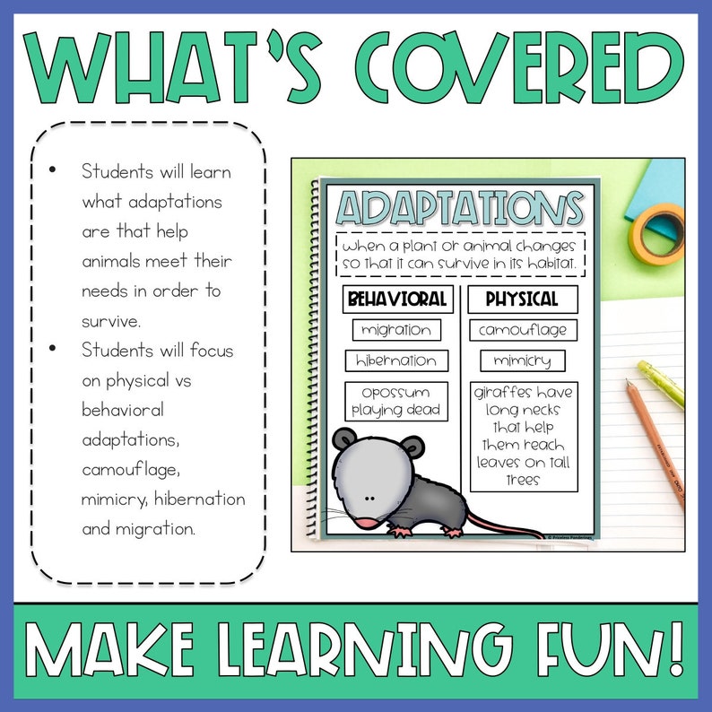 Animal Adaptations Activities | Hibernation Migration and Camouflage ...