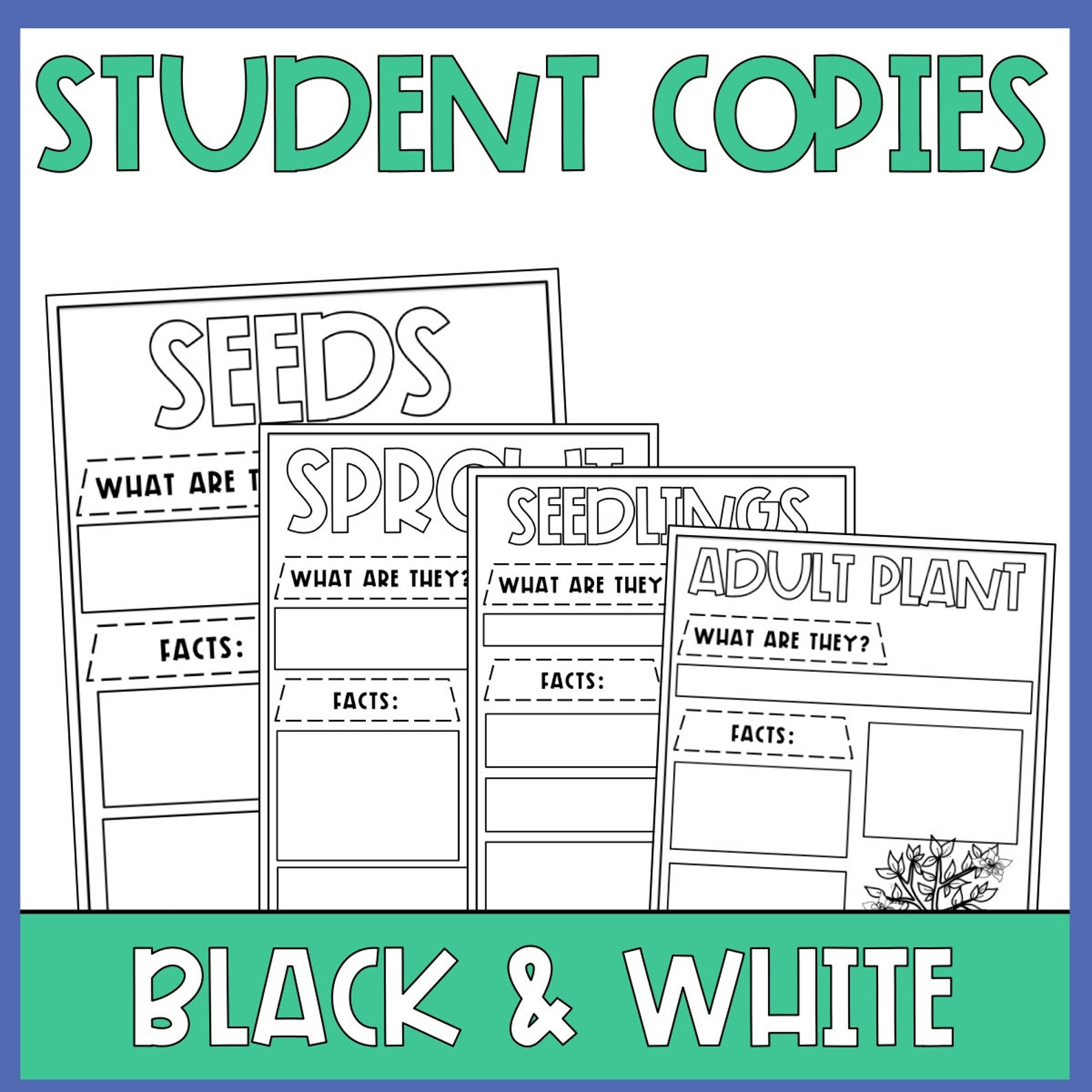 Life Cycle of a Plant Anchor Charts - 2nd 3rd Grade Life Science ...