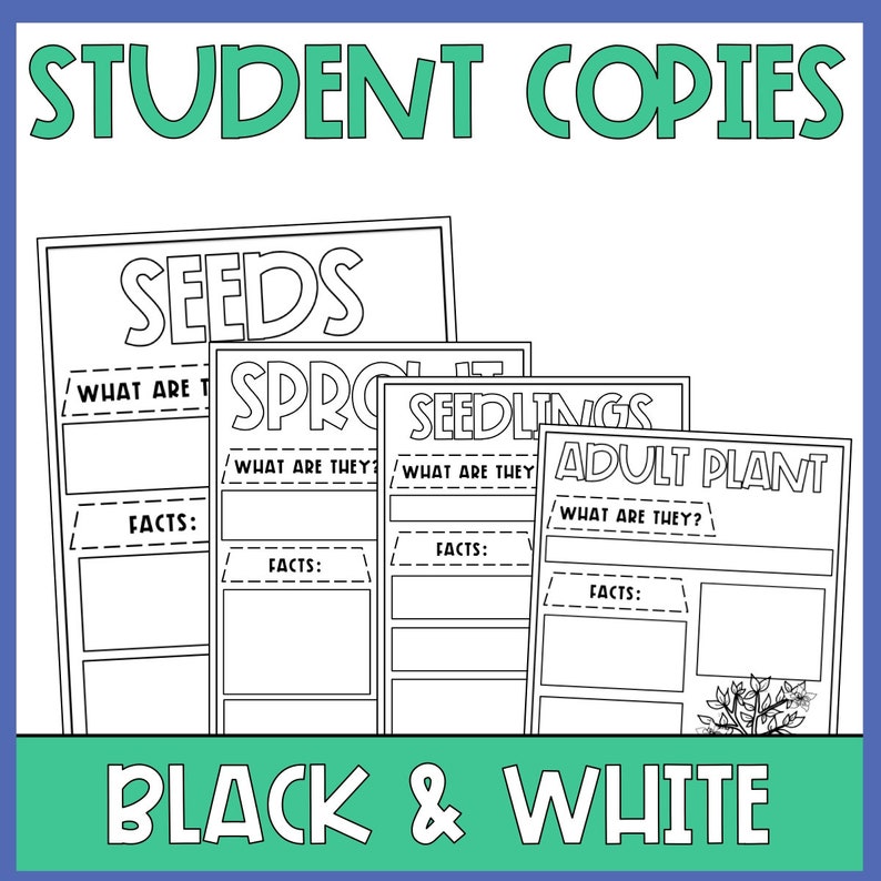 Life Cycle of a Plant Anchor Charts - 2nd 3rd Grade Life Science ...