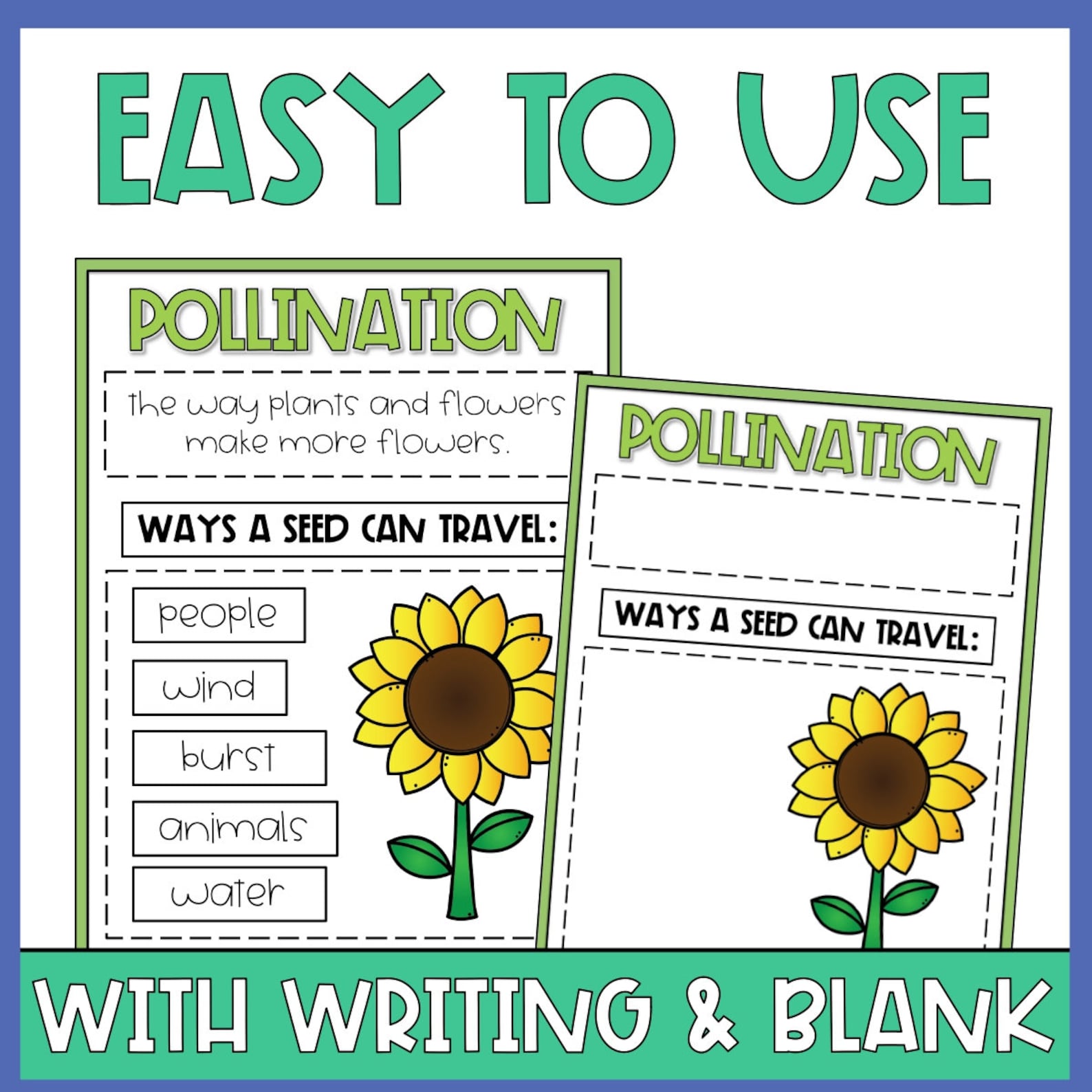 3rd Grade Science Anchor Charts Parts of a Flower and Pollination ...
