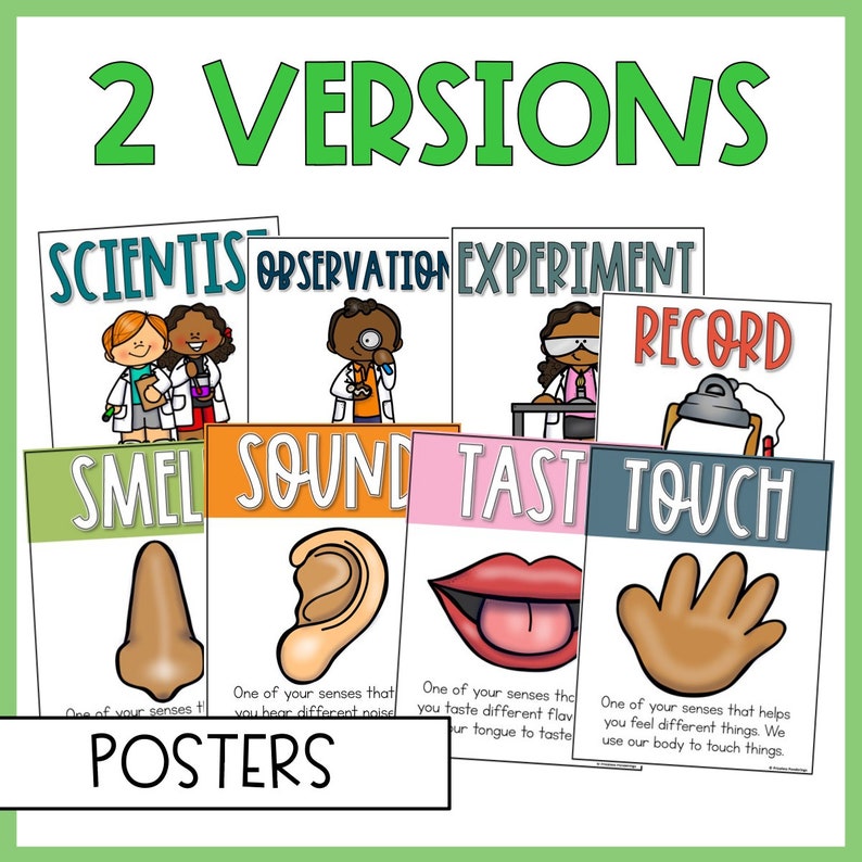 5 Senses Anchor Charts and Science Posters | Scientific Observations - Etsy