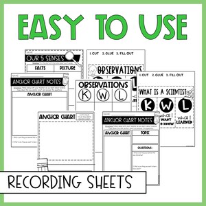 5 Senses Anchor Charts and Science Posters | Scientific Observations - Etsy