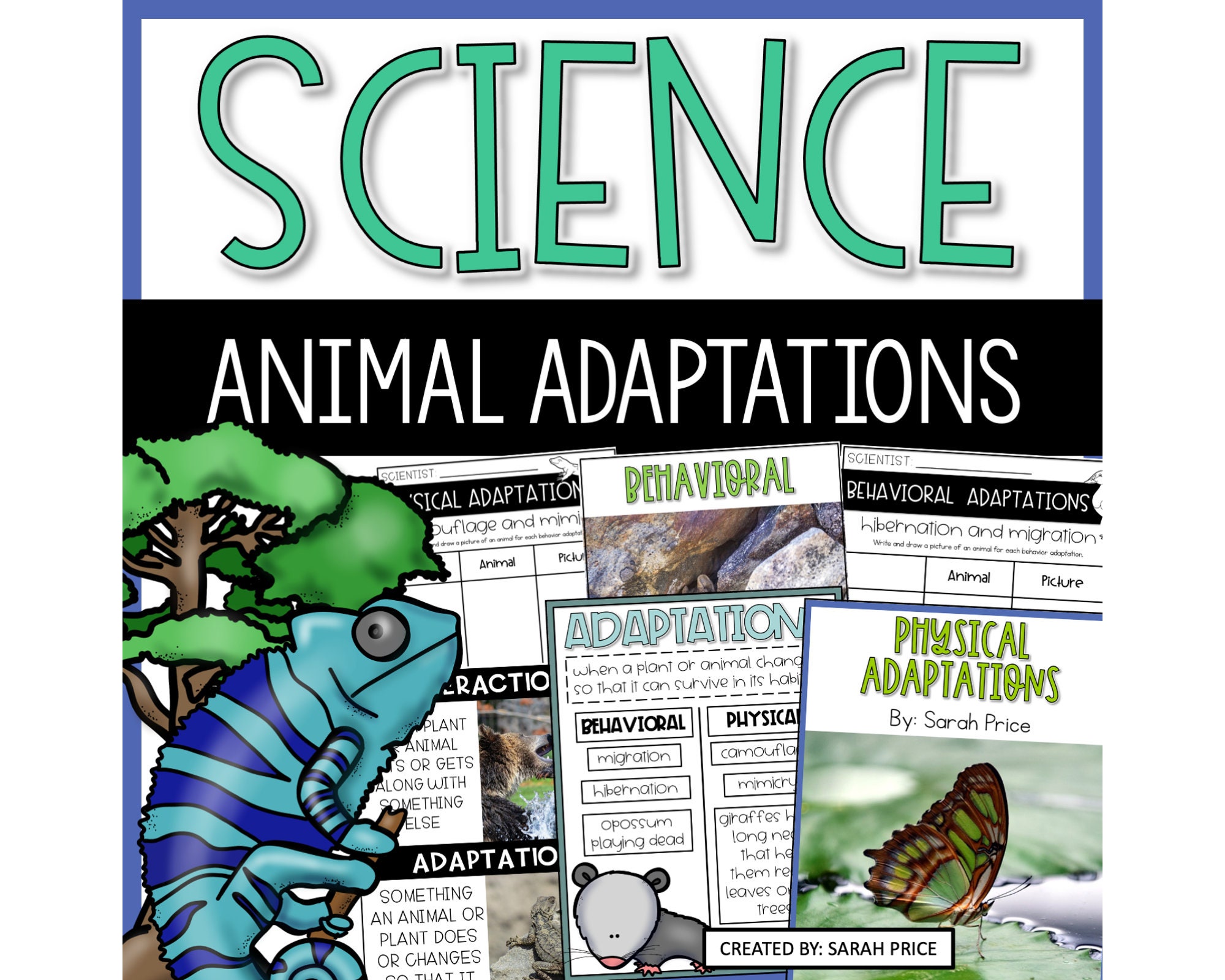 Animal Adaptations Activities | Hibernation Migration and Camouflage ...