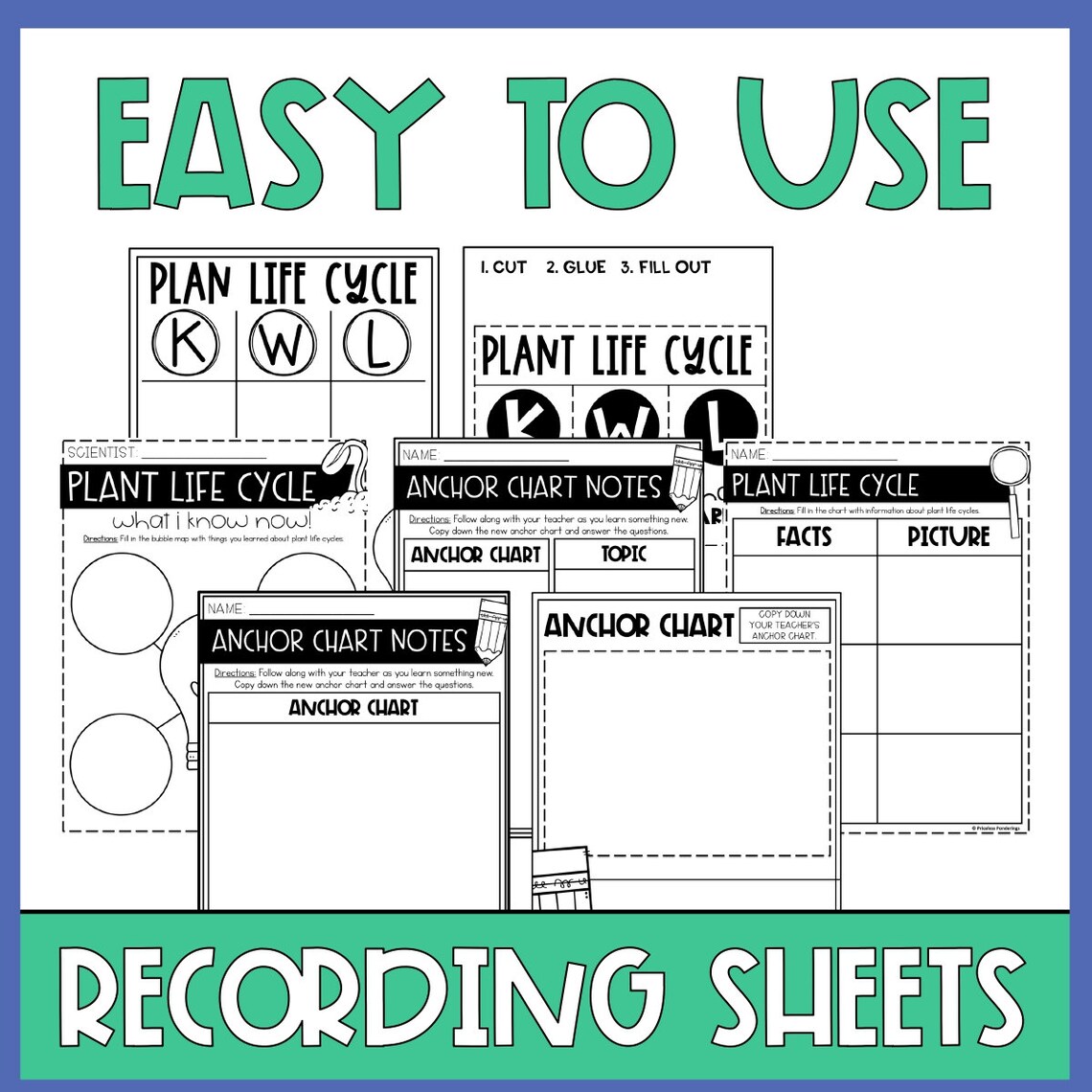 Life Cycle of a Plant Anchor Charts - 2nd 3rd Grade Life Science ...