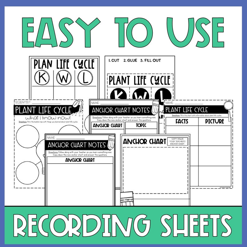 Life Cycle of a Plant Anchor Charts - 2nd 3rd Grade Life Science ...