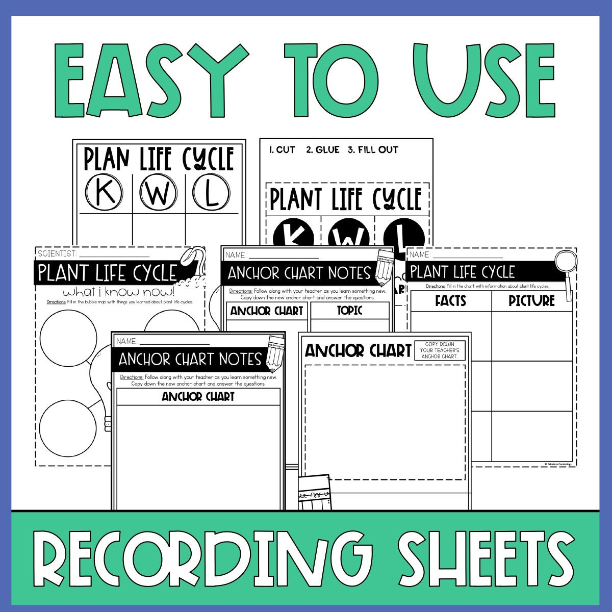Life Cycle of a Plant Anchor Charts 2nd 3rd Grade Life Science Posters ...