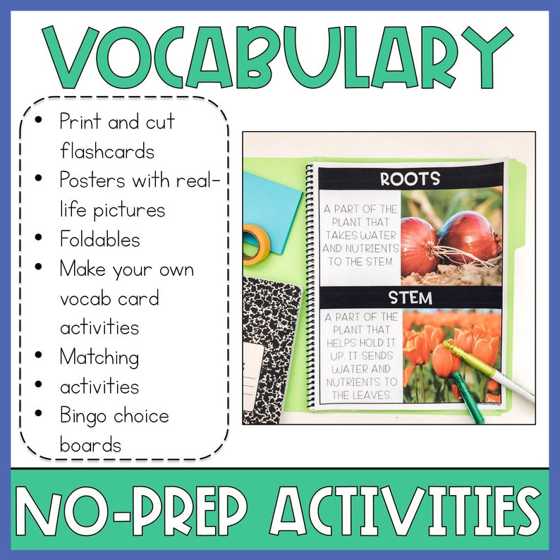 Plant Life Cycle Activities and Worksheets - Etsy