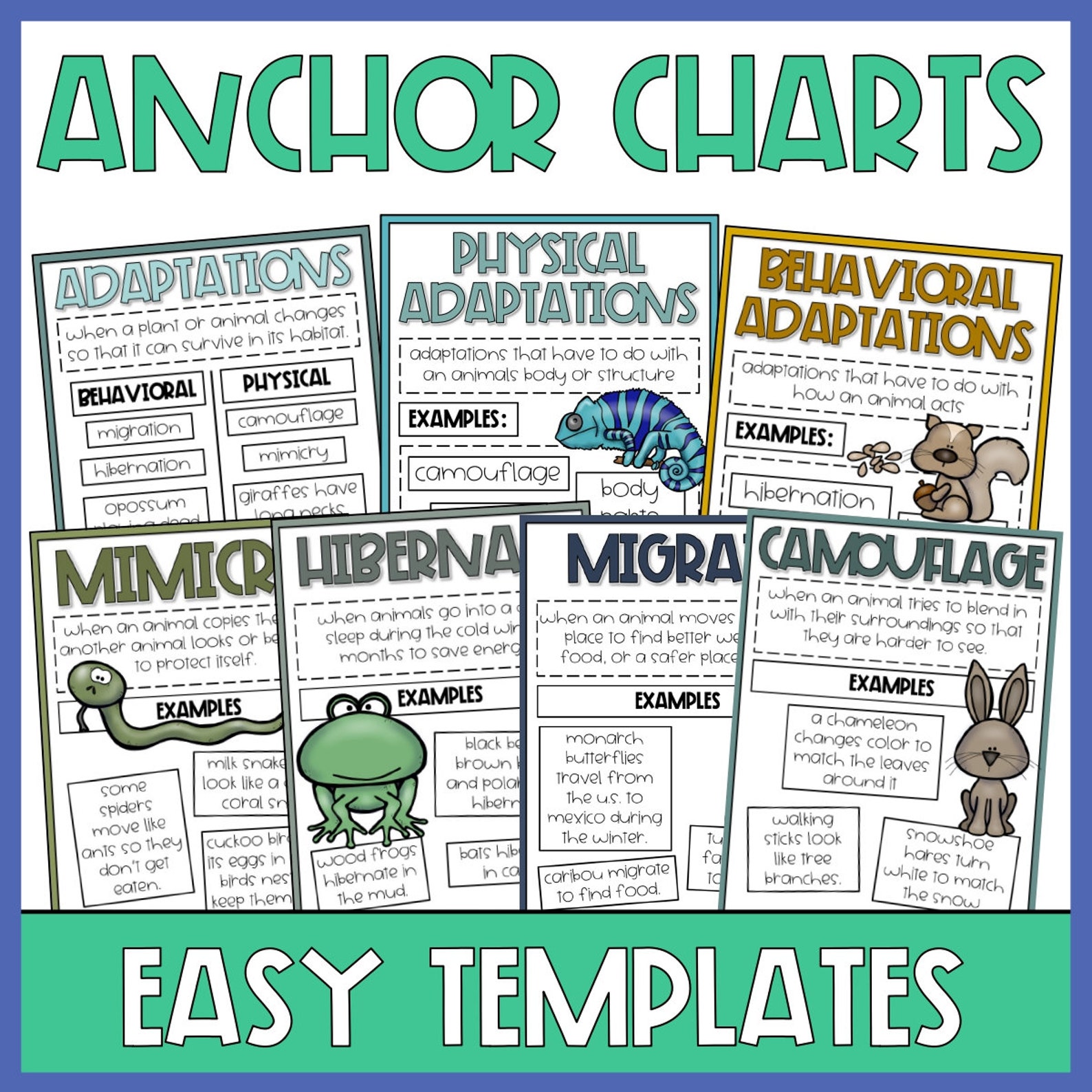 Animal Adaptations Activities | Hibernation Migration and Camouflage ...