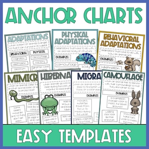 Animal Adaptations Activities | Hibernation Migration and Camouflage ...
